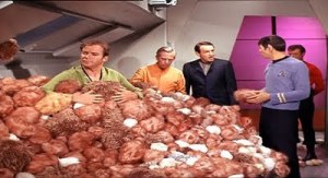 STAR TREK:TRIBBLES | LAS CRÓNICAS DE STAR TREK (THE CHRONICLES OF STAR ...