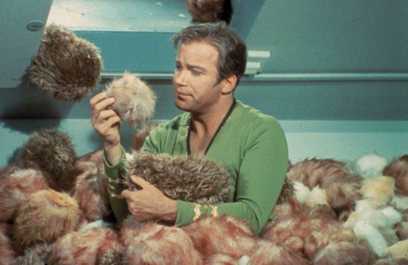 STAR TREK:TRIBBLES | LAS CRÓNICAS DE STAR TREK (THE CHRONICLES OF STAR ...